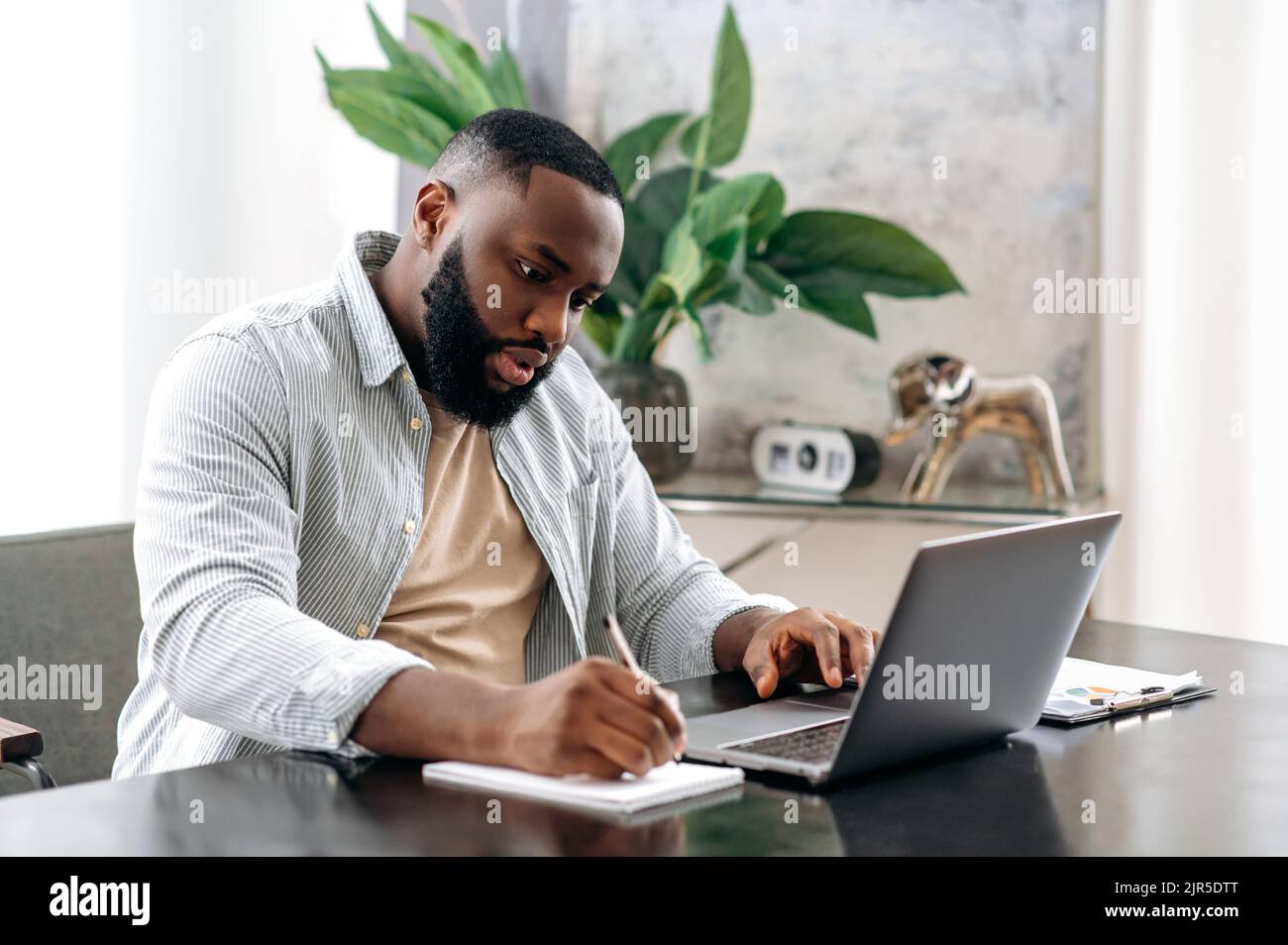 Focused successful smart african american male company owner, manager ...