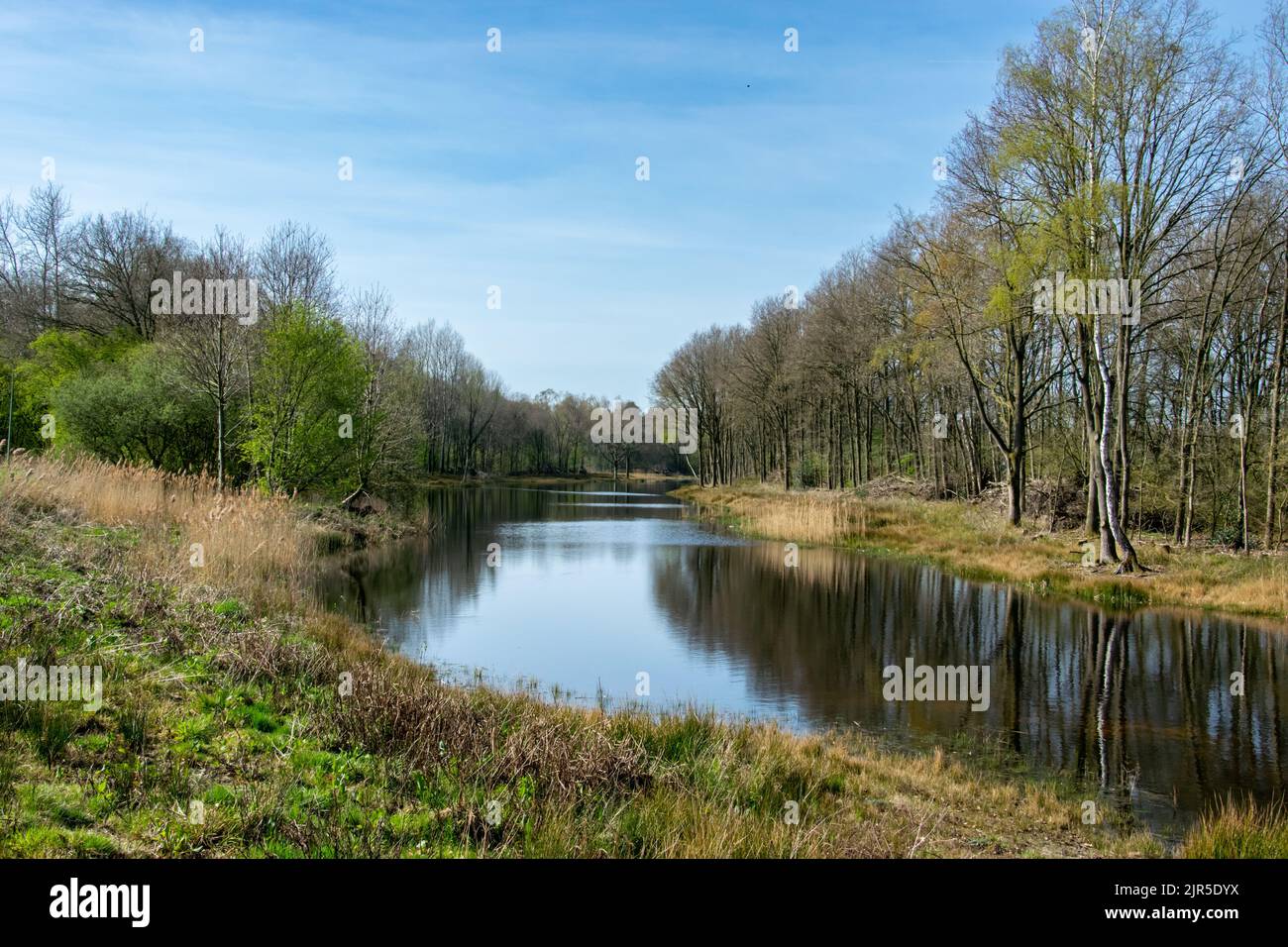 A scenic view of a river flowing in a forest surrounded by wild nature ...