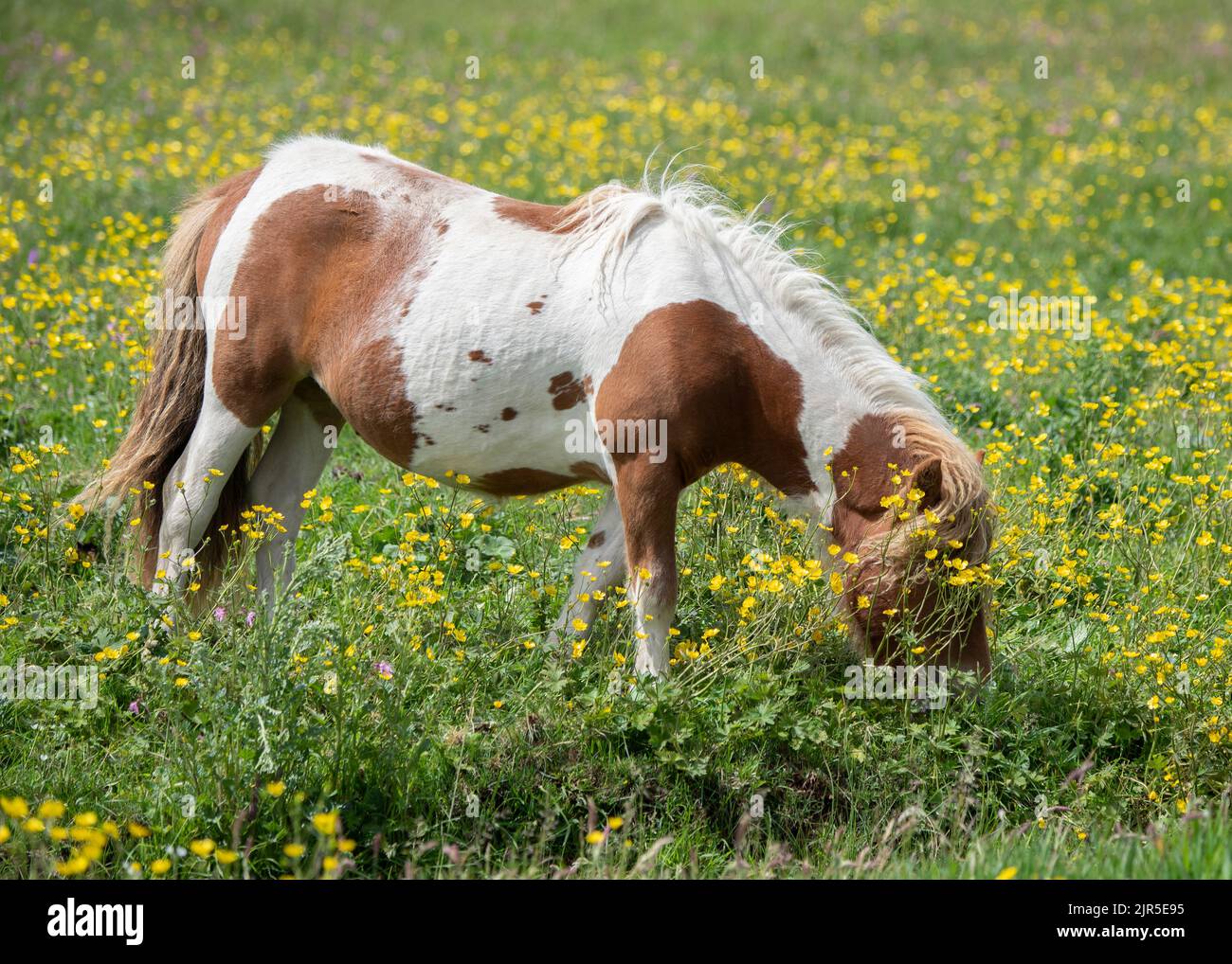 Mainlnd hi-res stock photography and images - Alamy