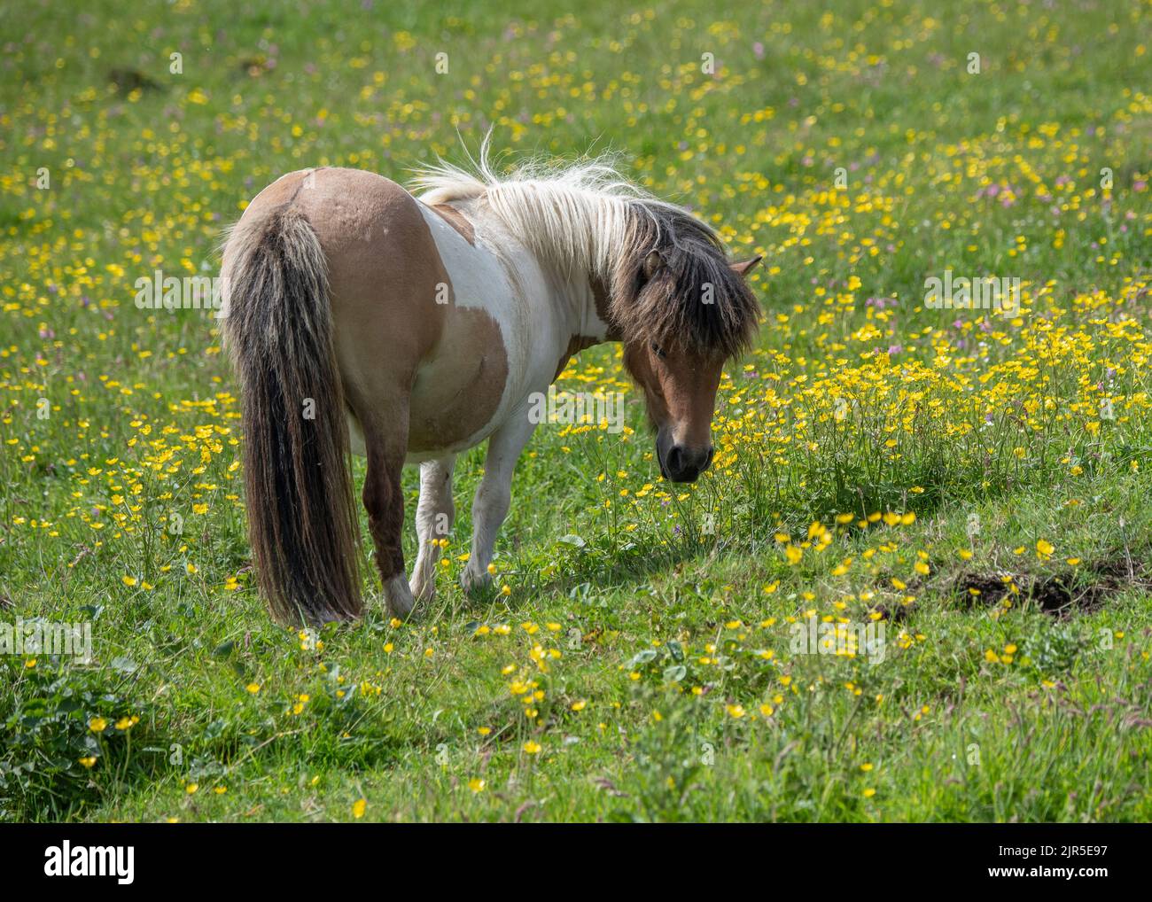 Mainlnd hi-res stock photography and images - Alamy