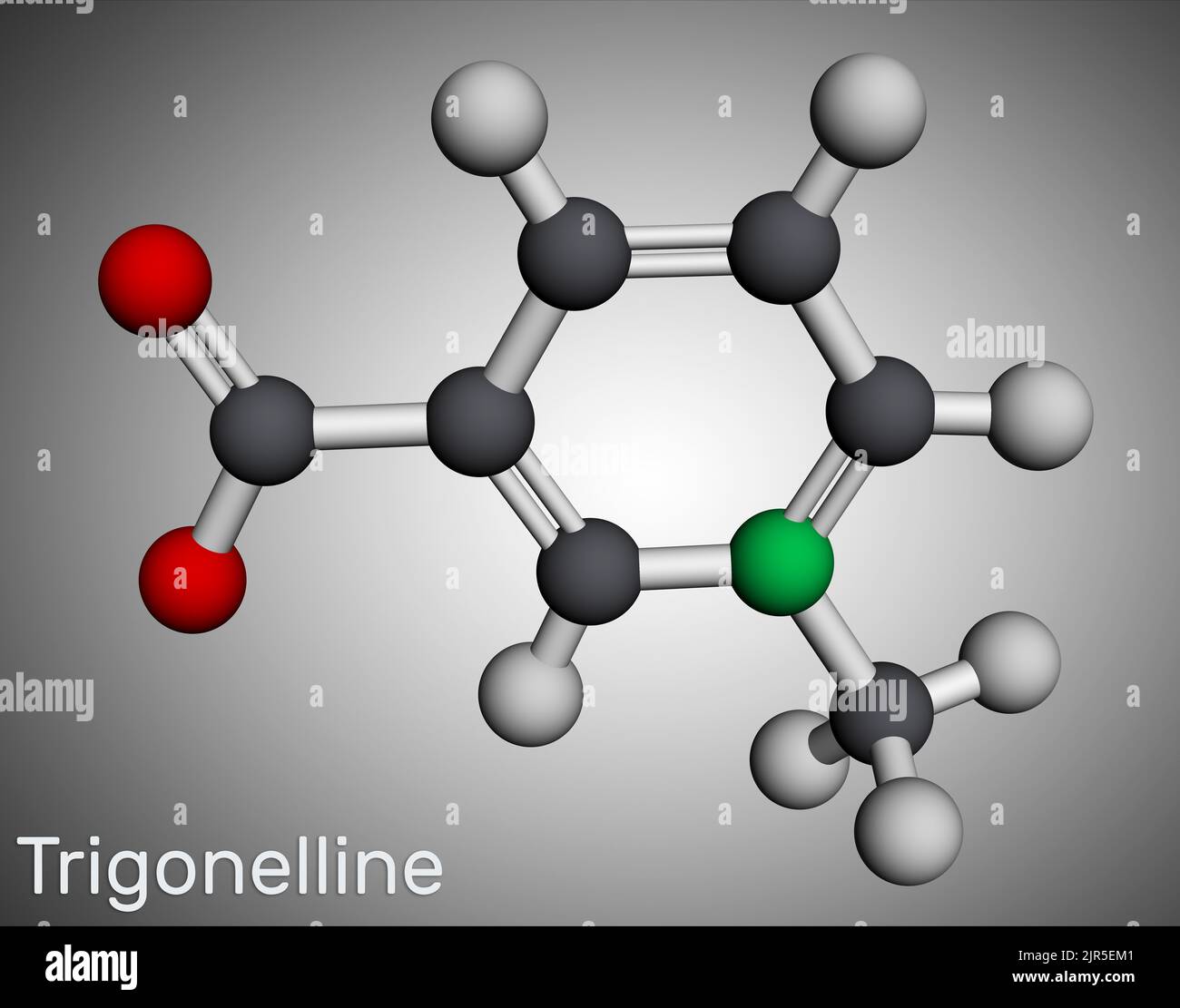 Trigonelline plant alkaloid molecule. It is methylation product of ...