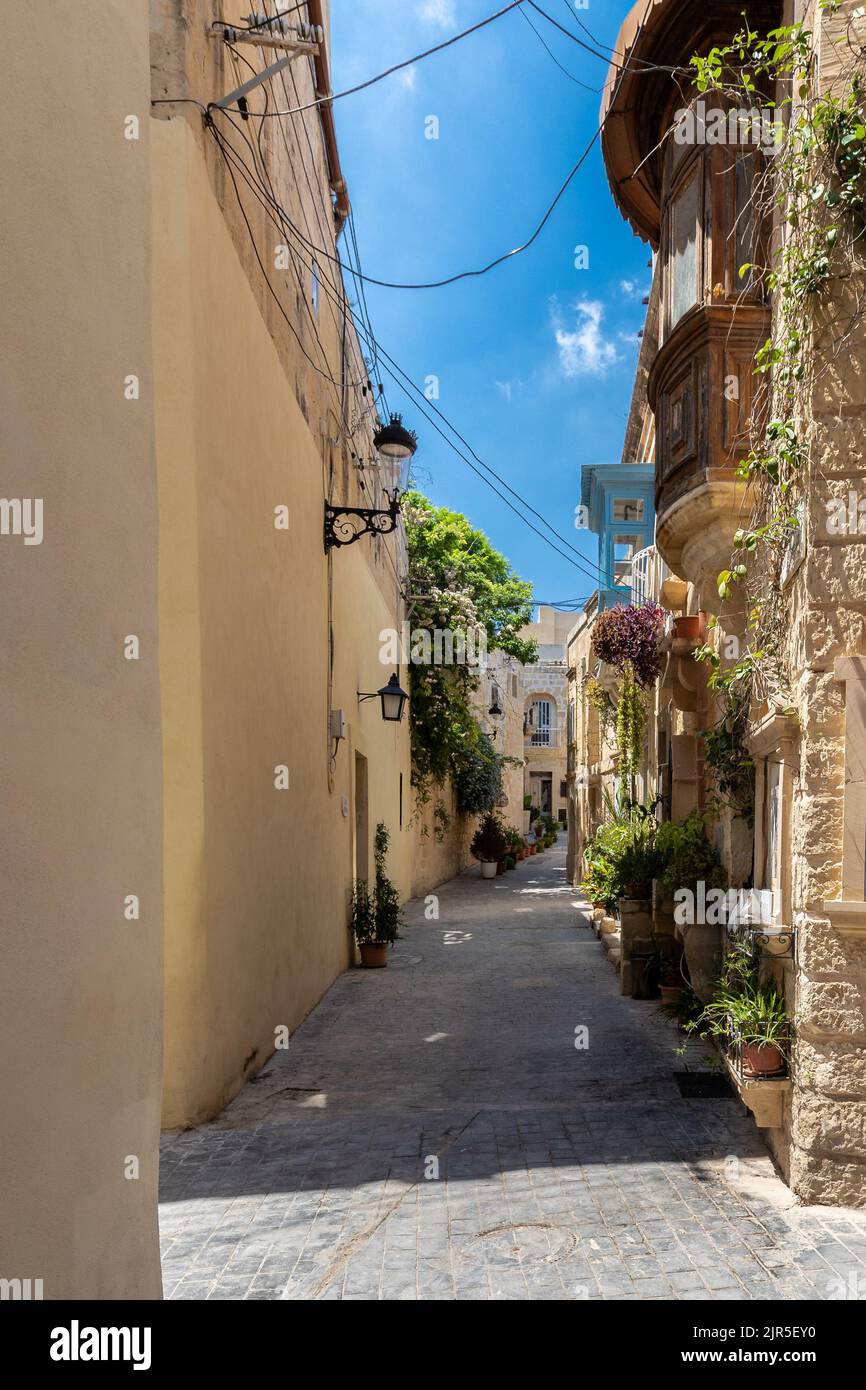 The Basilica of St Paul is a Roman Catholic Parish church located in ...