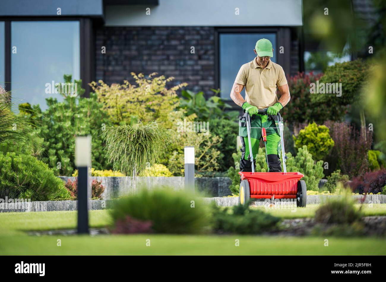 Residential Lawn Grass Fertilizing Using Push Spreader. Gardener Job ...