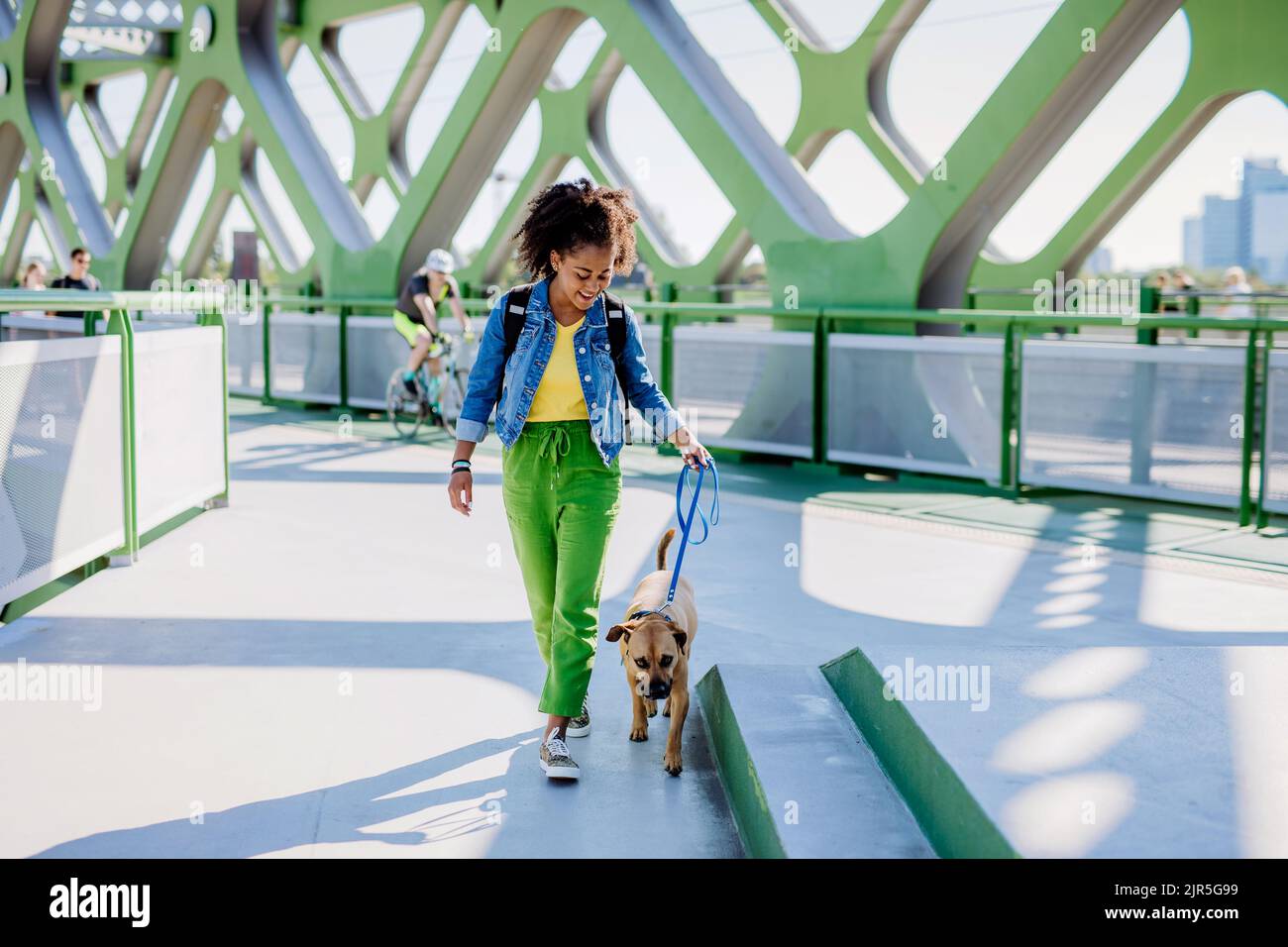 Multiracial girl walking with her dog outside in the bridge, training ...