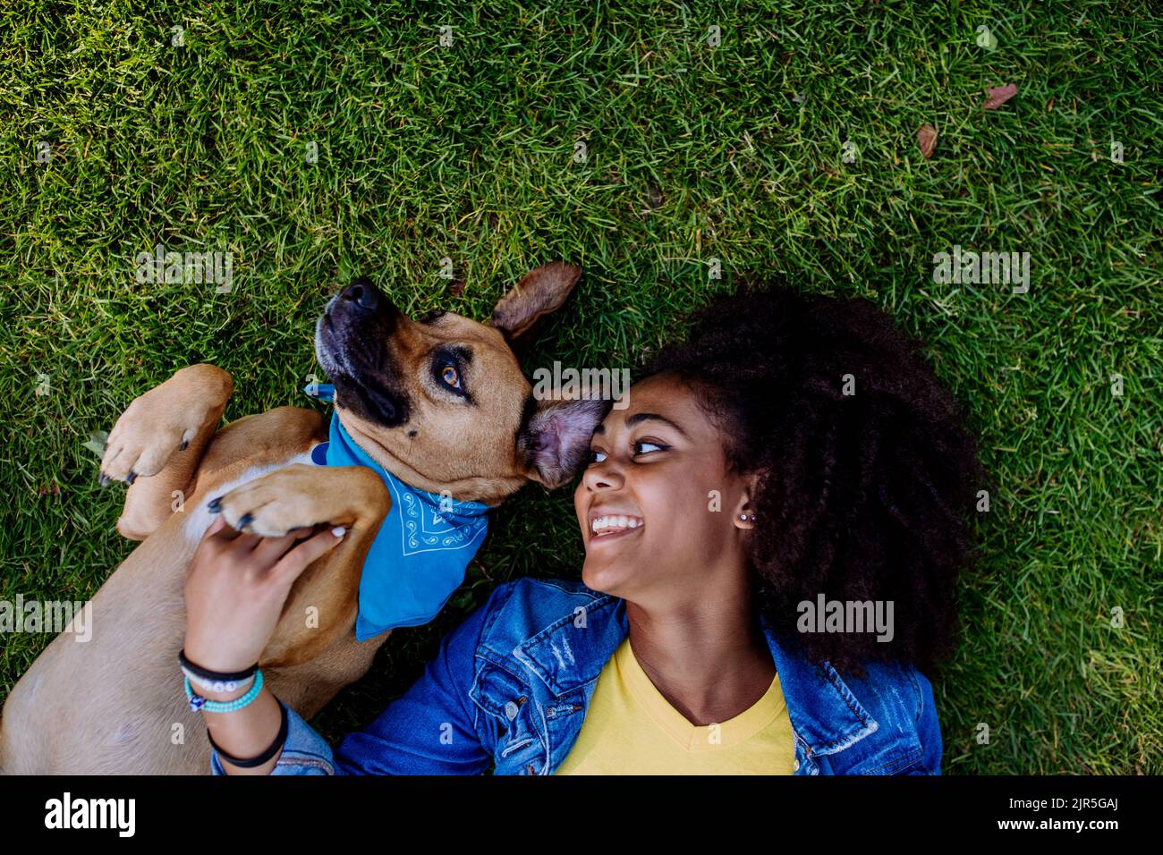Top view of multiracial teenage girl and her dog lying on the grass in ...