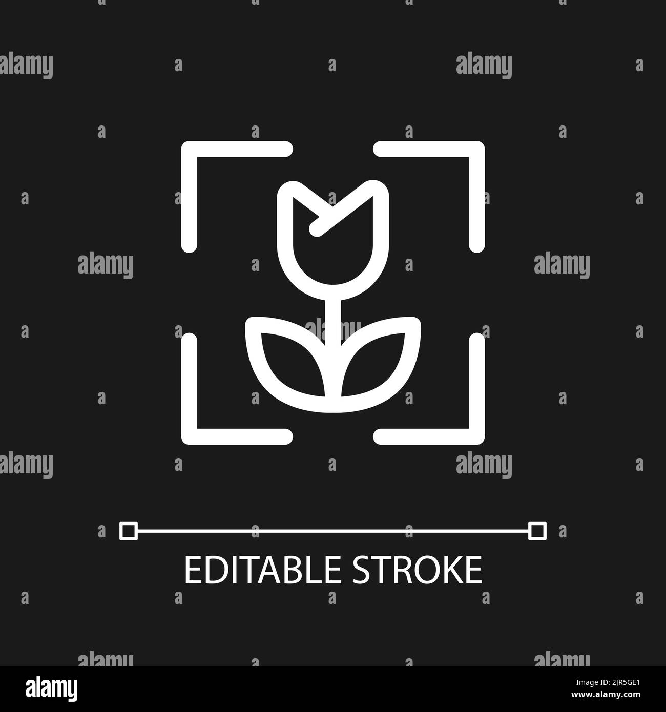 Macro photo mode pixel perfect white linear ui icon for dark theme ...