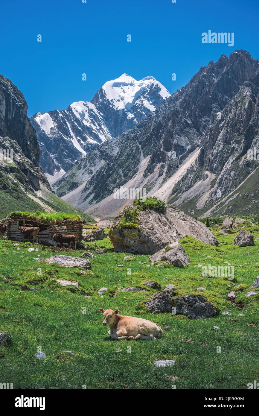 The ancient silk road Xiata ancient road hiking in Xinjiang,CHINA Stock ...