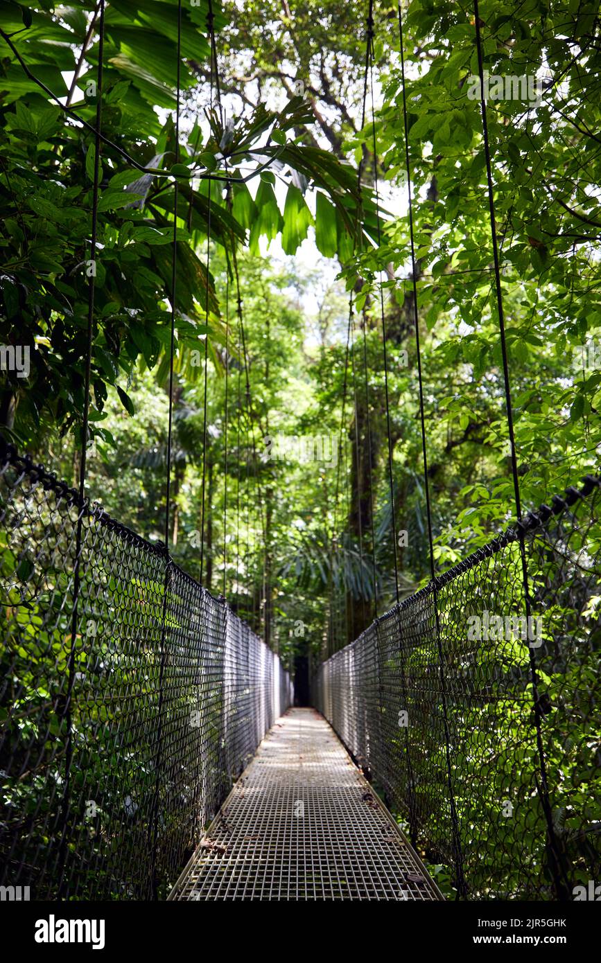 A hanging bridge in a forest in La Fortuna, Costa Rica Stock Photo - Alamy