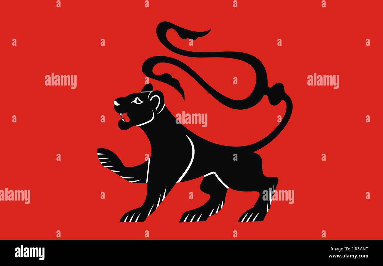 Top view of flag Radlow, Poland. Polish city. travel and patriot ...