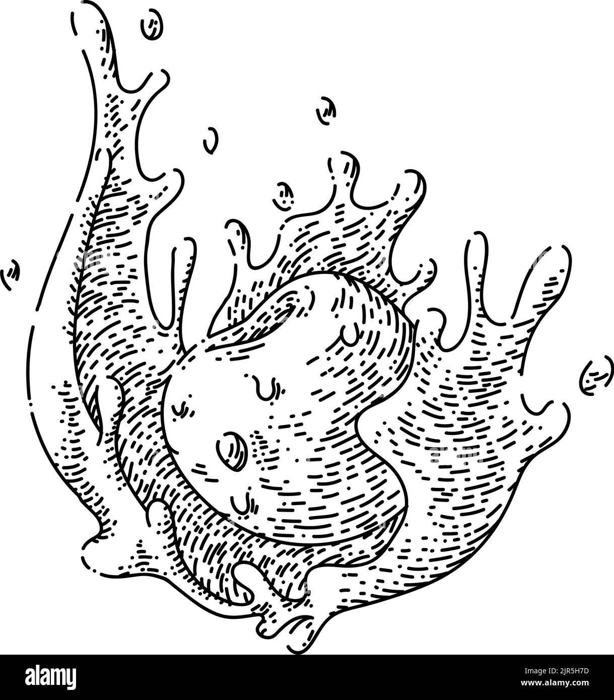 cherry splash sketch hand drawn vector Stock Vector Image & Art - Alamy