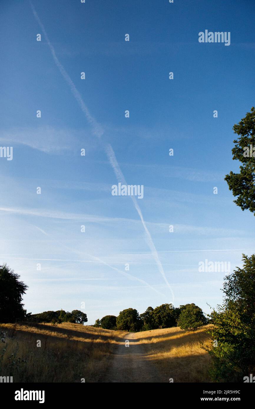 Fritton lake hi-res stock photography and images - Alamy