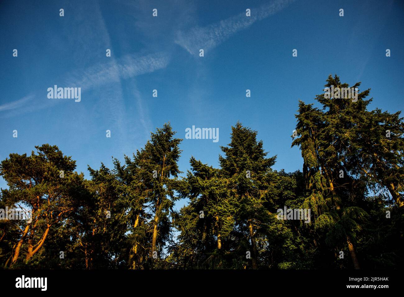 Fritton lake hi-res stock photography and images - Alamy