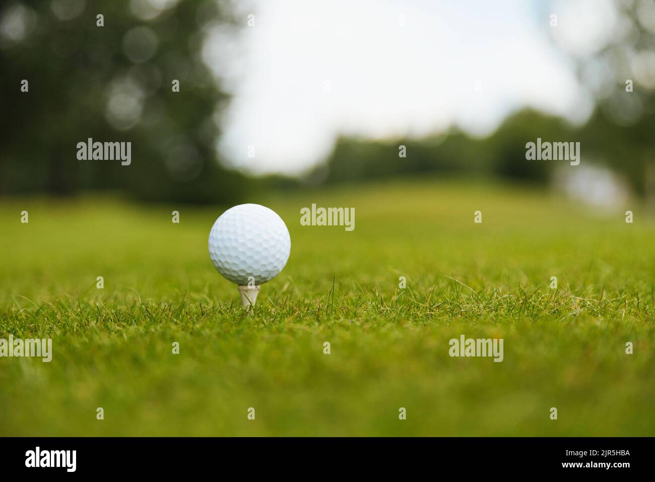 golf ball on tee ready to play Stock Photo - Alamy