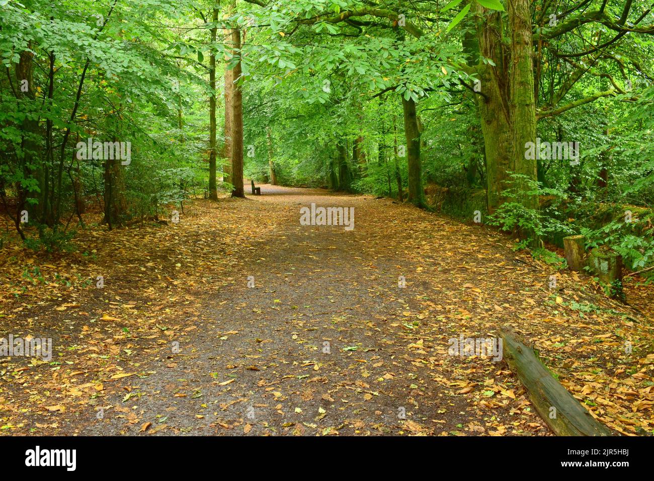 Mamhead hi-res stock photography and images - Alamy