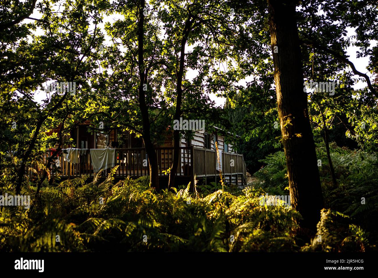 Fritton lake norfolk hi-res stock photography and images - Alamy