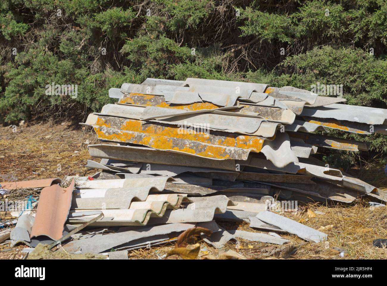 Broken Asbestos Cement Sheets with Asbestos Waste fly tipping Group of ...
