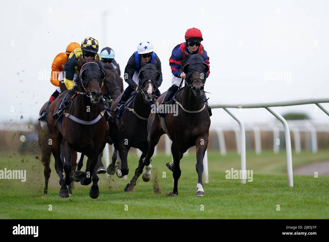 Brighton racecourse august 2022 hi-res stock photography and images - Alamy