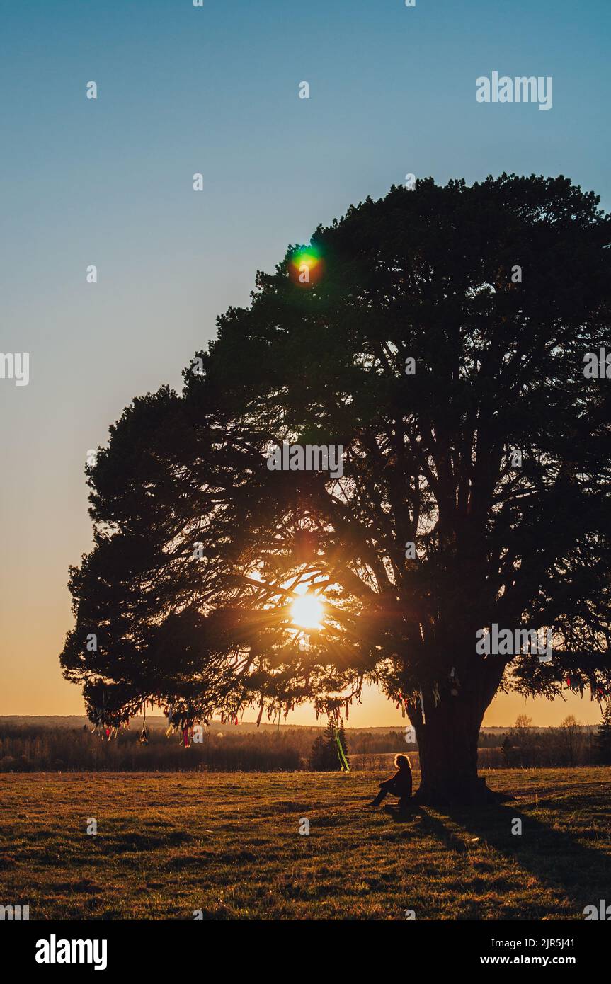 woman sitting under a lonely tree at sunset Stock Photo - Alamy