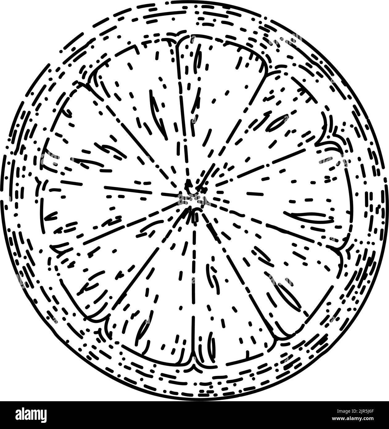 Lemon Ripe Slice Sketch Hand Drawn Vector Stock Vector Image And Art Alamy