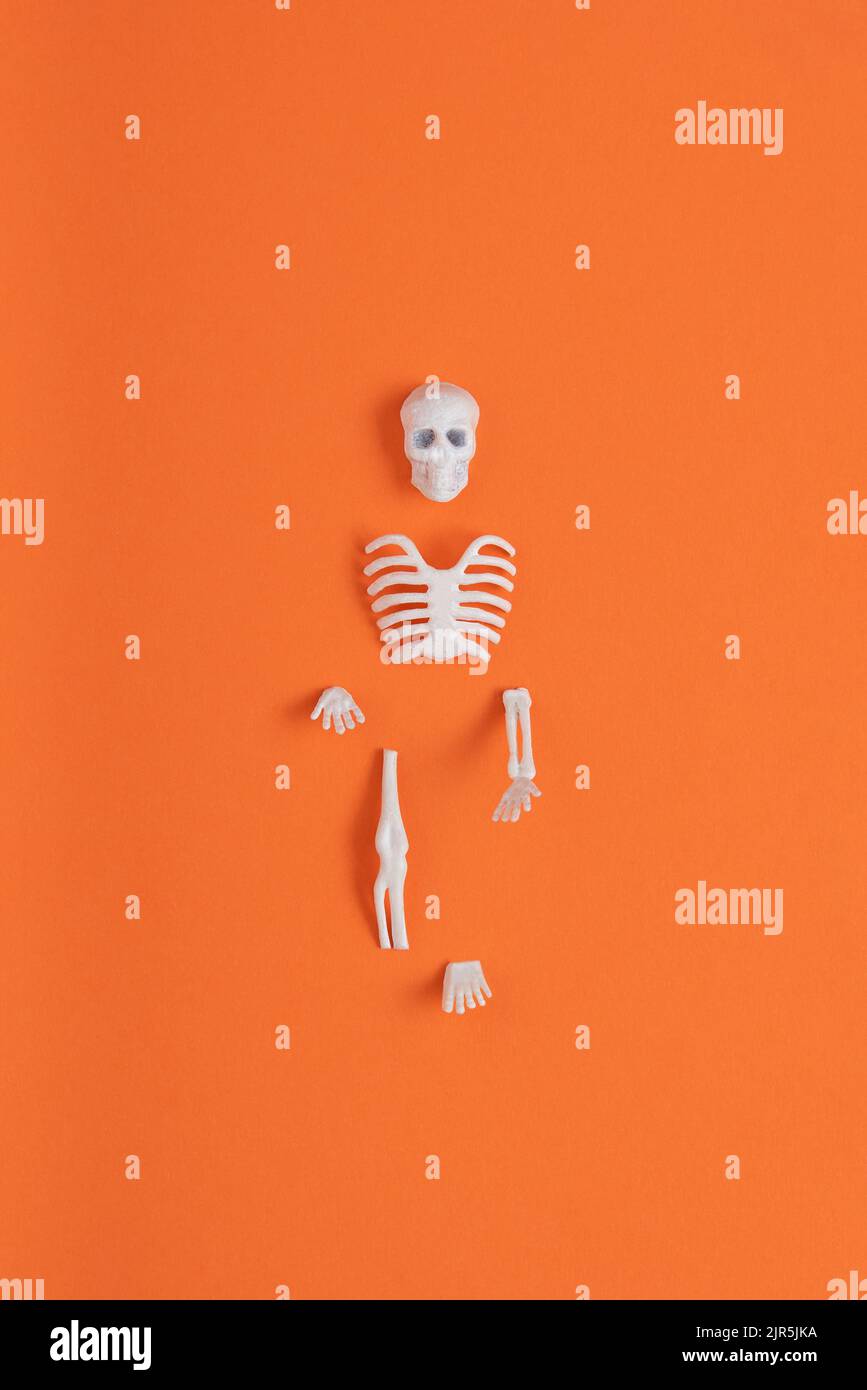 Skeleton parts isolated on orange background. Minimal abstract ...
