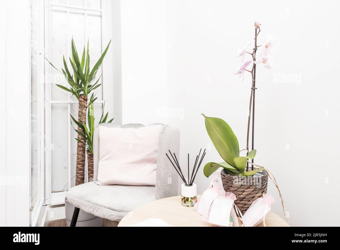 Corner of a waiting room with a gray velvet armchair and a wooden side ...