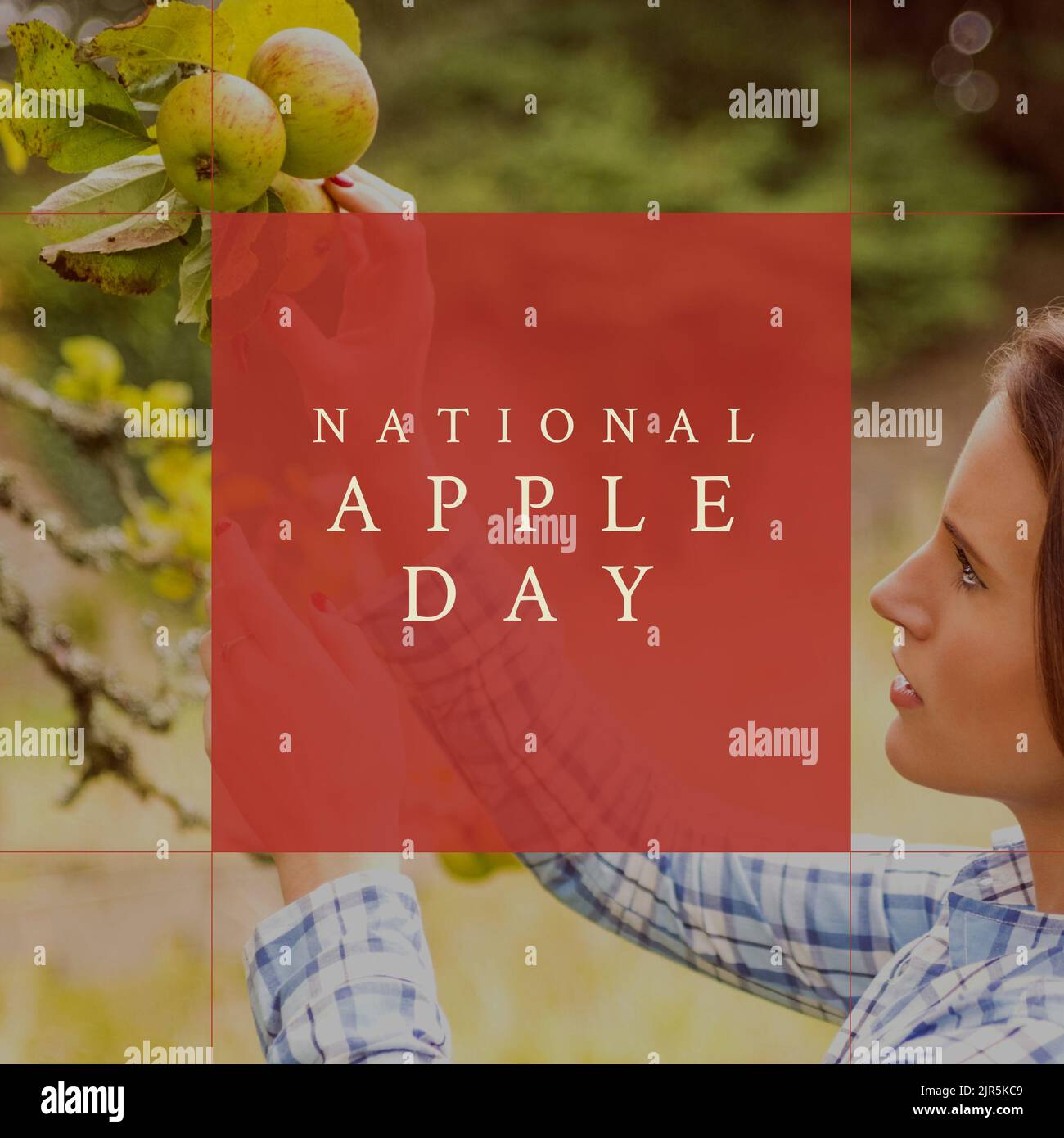 Apple picking illustration hi-res stock photography and images - Alamy