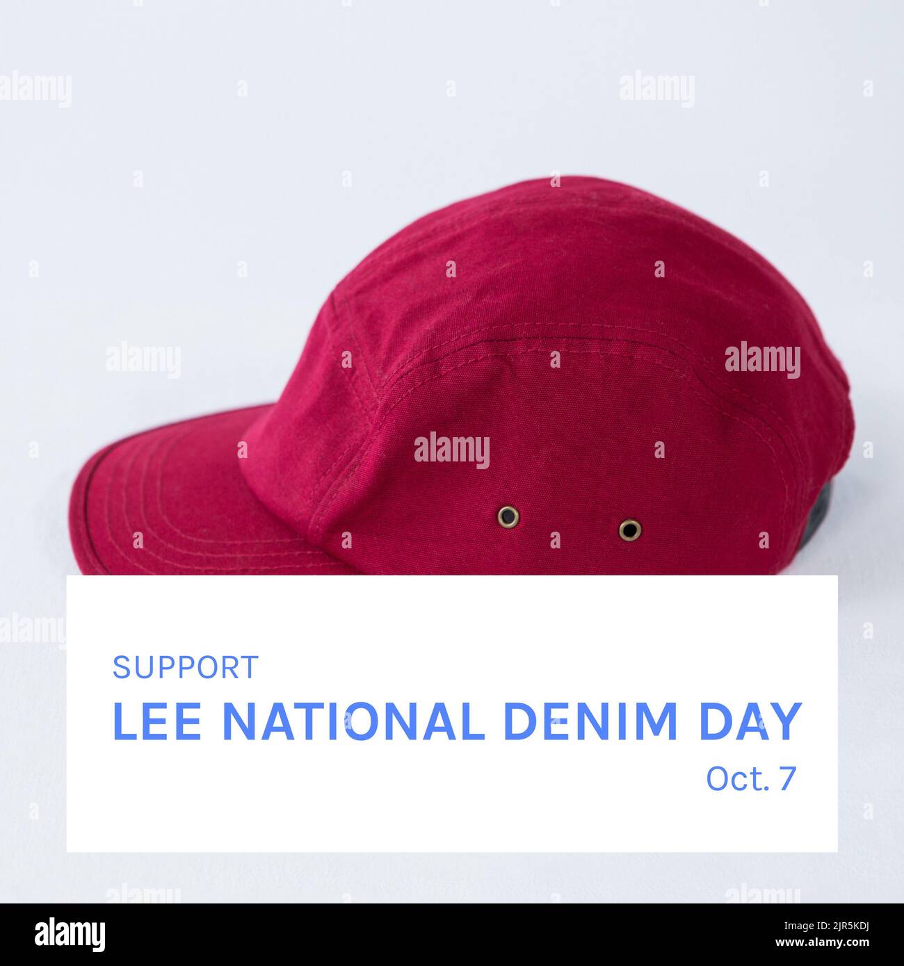 Lee vector hi-res stock photography and images - Alamy