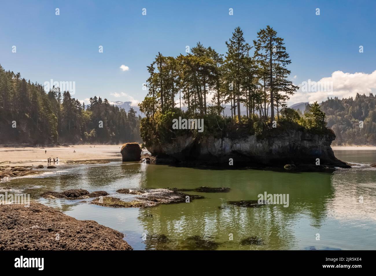 Rocky seashore at Tongue Point in Salt Creek Recreation Area along the ...