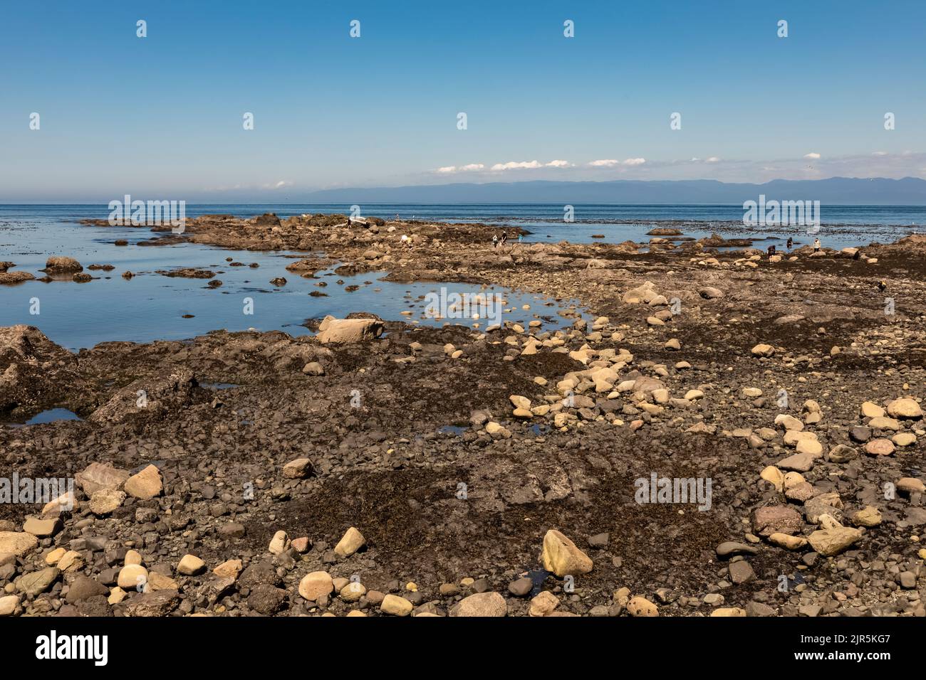 Rocky seashore at Tongue Point in Salt Creek Recreation Area along the ...