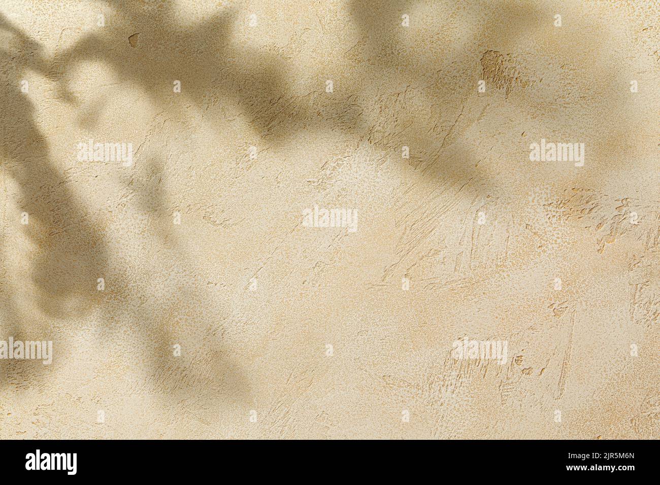Leaves reflection on sand plaster wall. Texture background Stock Photo ...