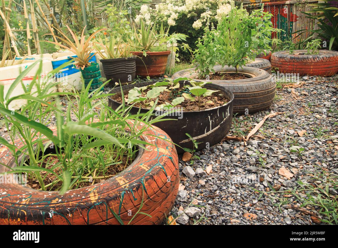 Urban garden using recycled car tires as raised bed to help combat ...