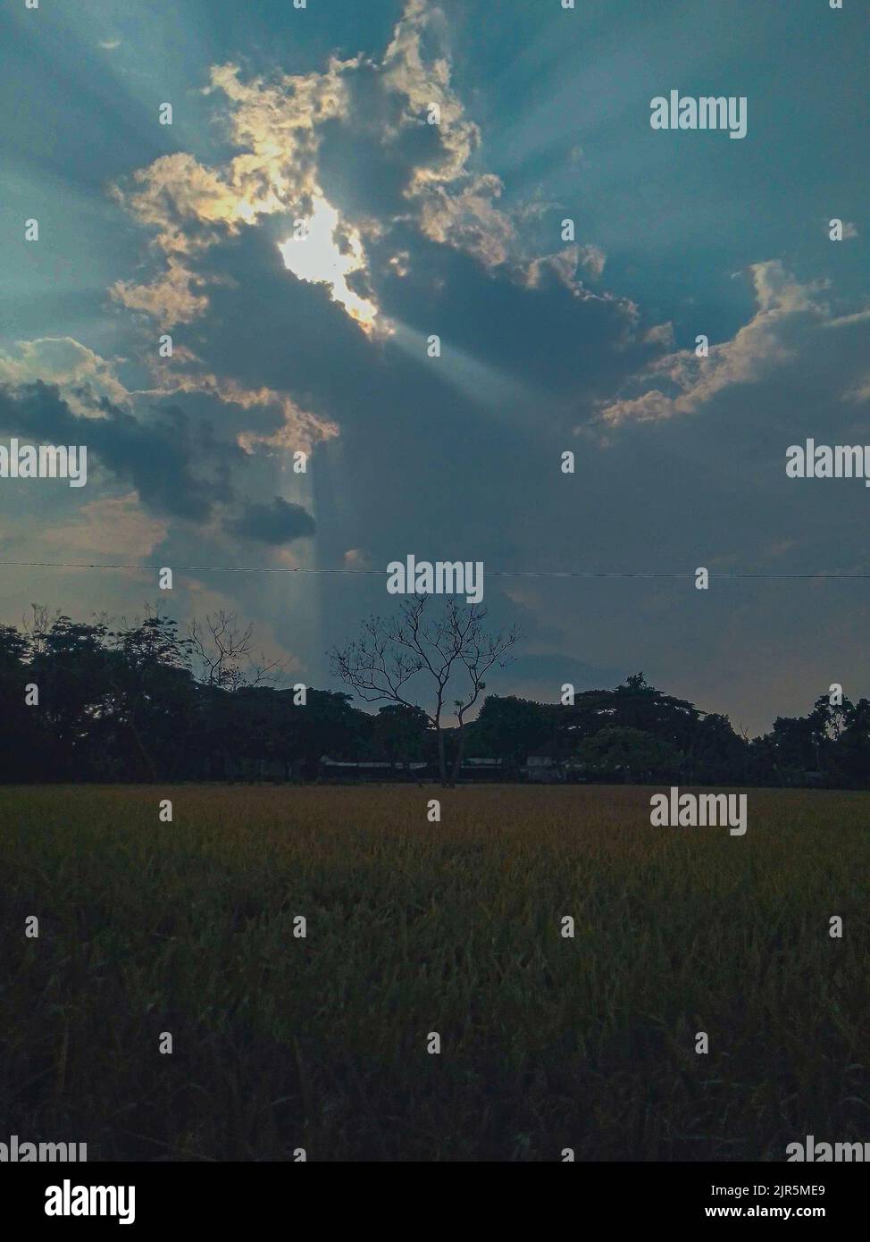 I tried to capture some most pleasant but commonly seen natural scene ...