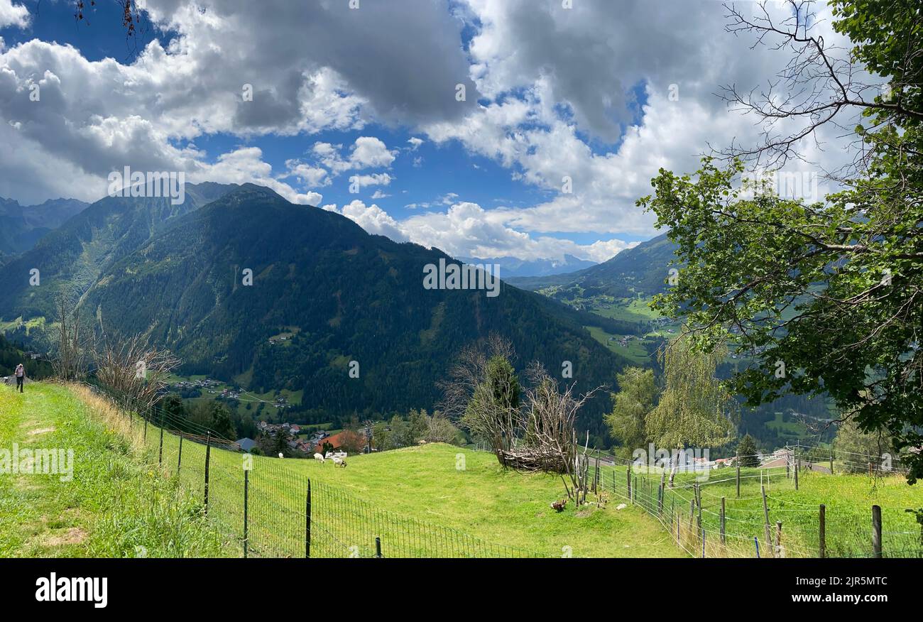 An aerial view of greenery fields surrounded by growing trees in ...