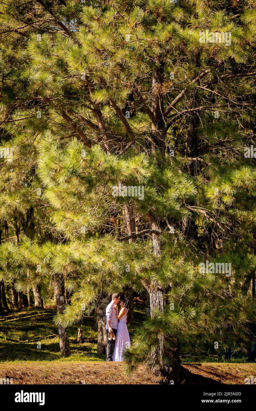 photo taken at a pre wedding session. a beautiful engaged couple who ...