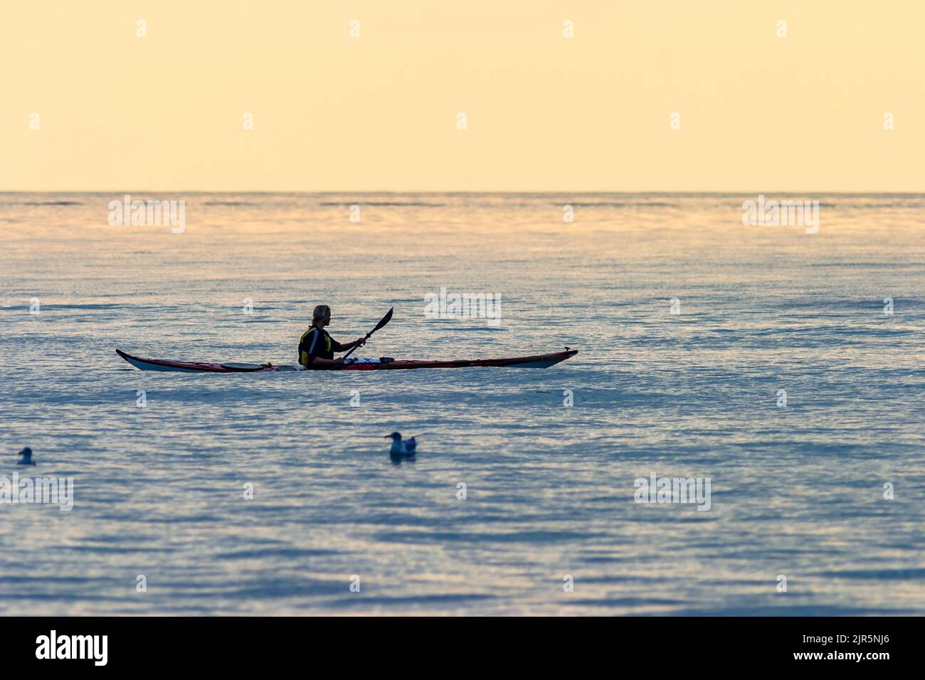 Silhouette people paddling kayak in hi-res stock photography and images ...