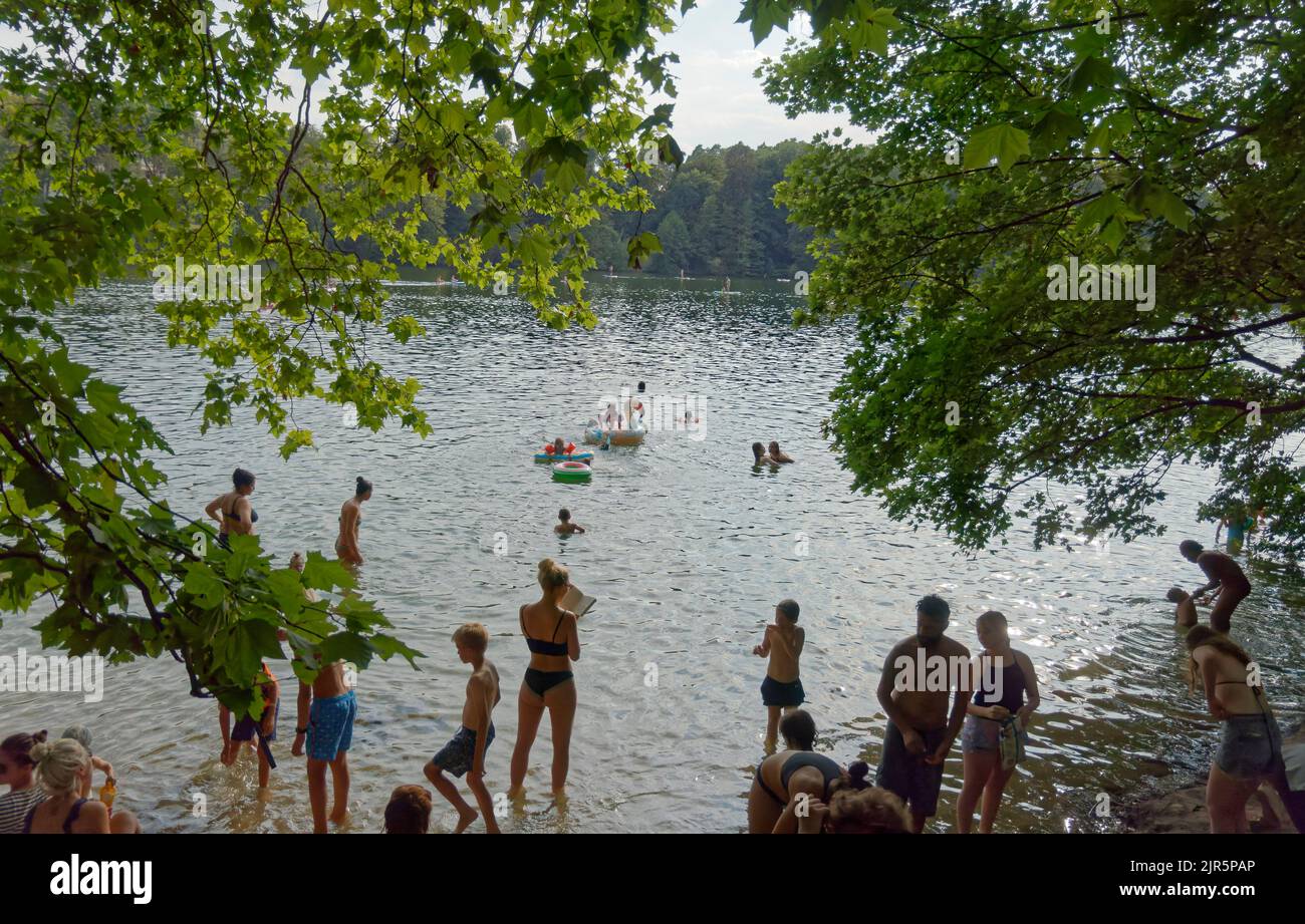 Schlachtensee, Badesee, Sommer in Berlin, See, Bezirk Steglitz ...