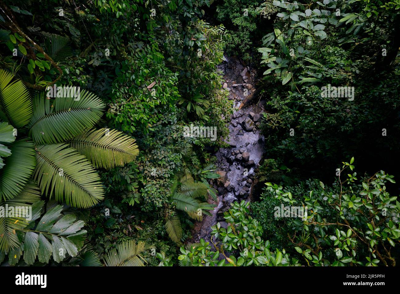 A top view of water flowing on a creek in the forest of La Fortuna ...