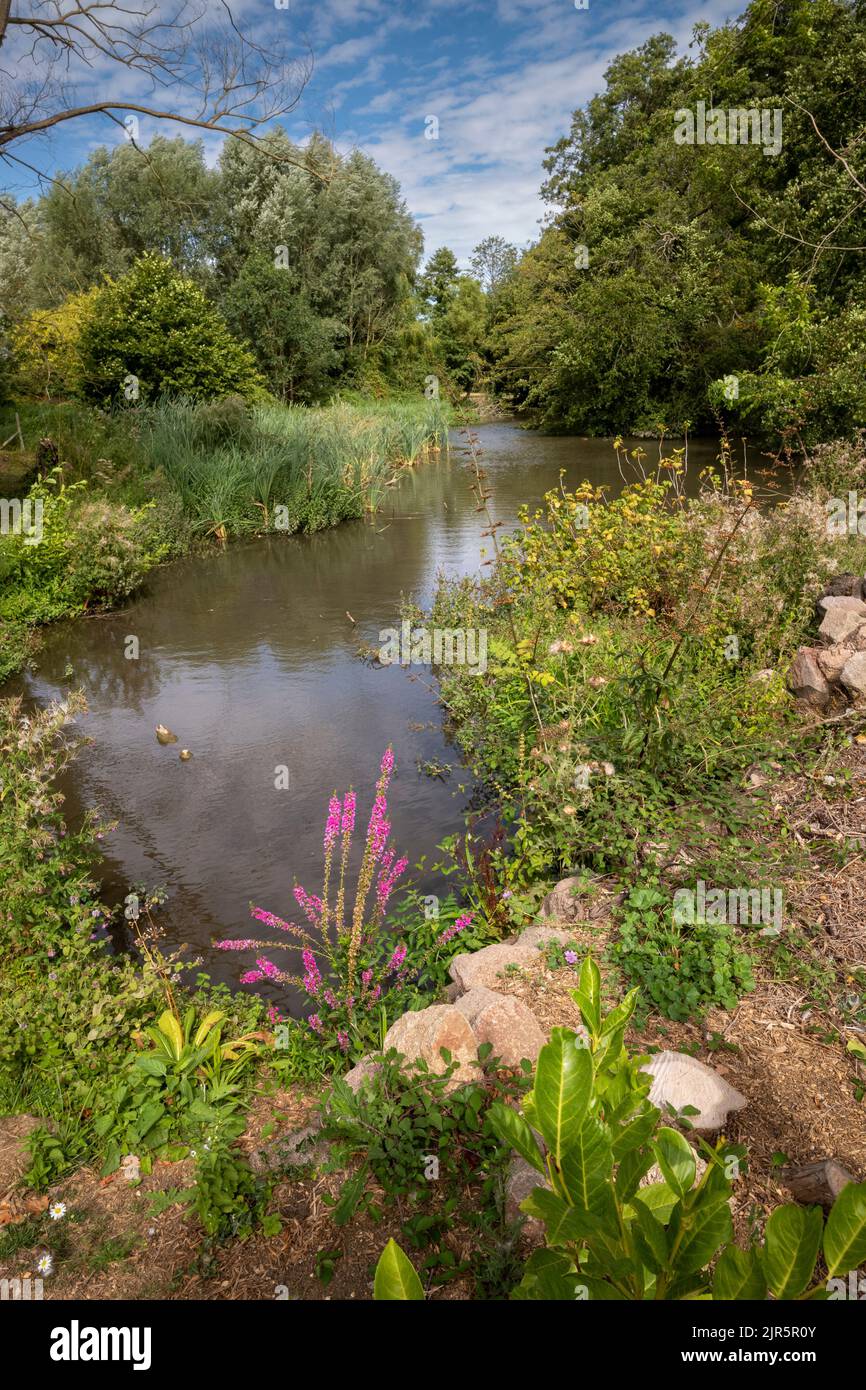 Mill Pond Bran End Stock Photo - Alamy