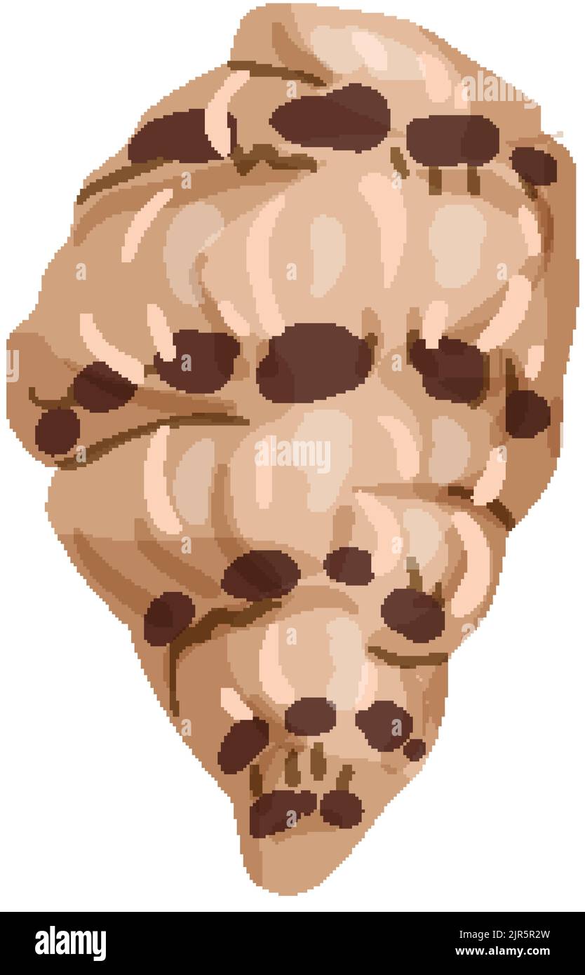 Coral macro view Stock Vector Images - Alamy