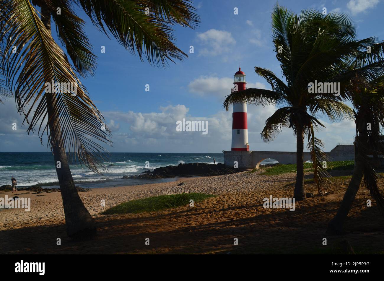 A lighthouse at the rocky beach with palm trees in the background Stock ...