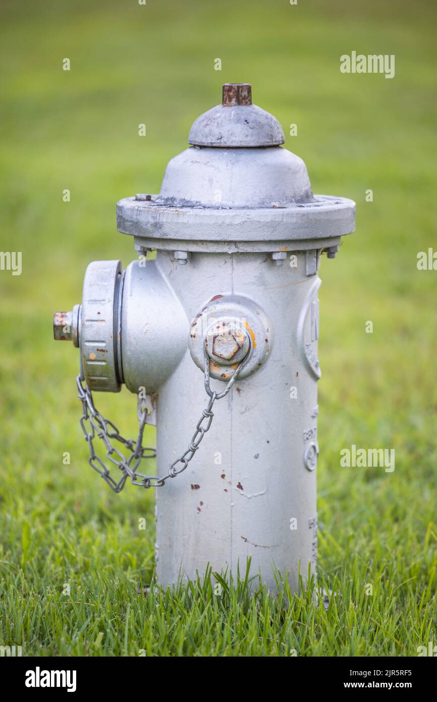 A single silver fire hydrant on a front lawn of grass Stock Photo - Alamy