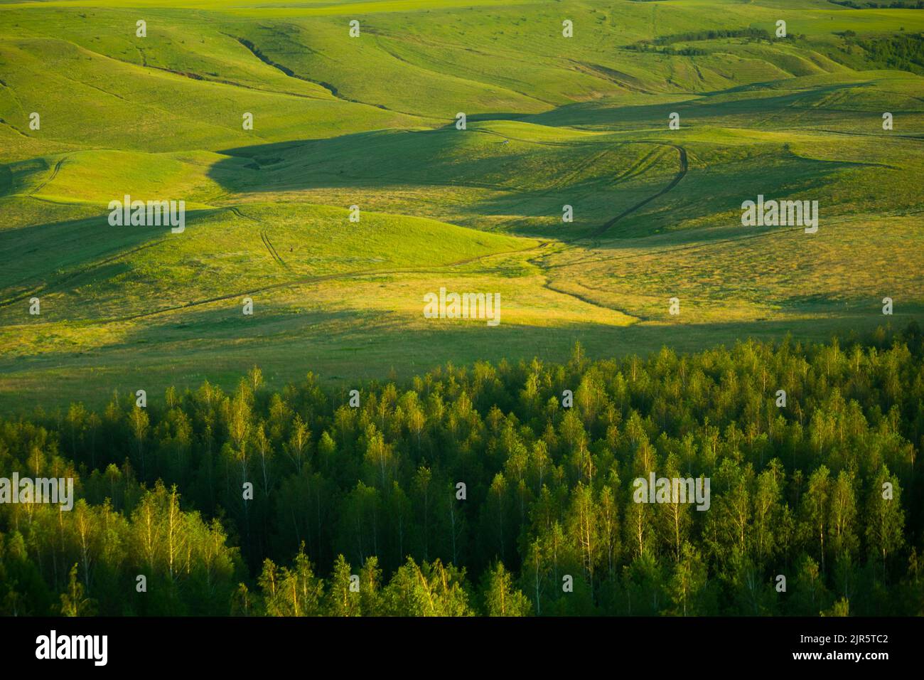 View from above over the meadows Stock Photo - Alamy