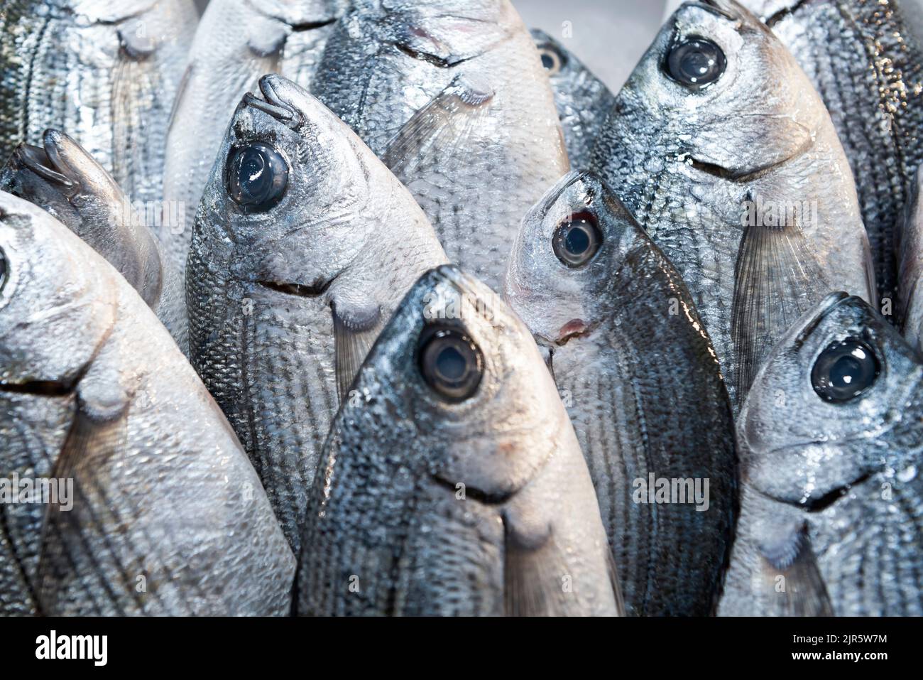 Pescatarian meal hi-res stock photography and images - Alamy
