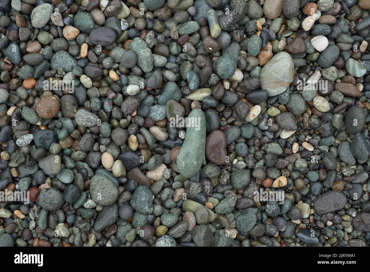 Pebble beach stones background, natural rounded gravel on the seashore ...