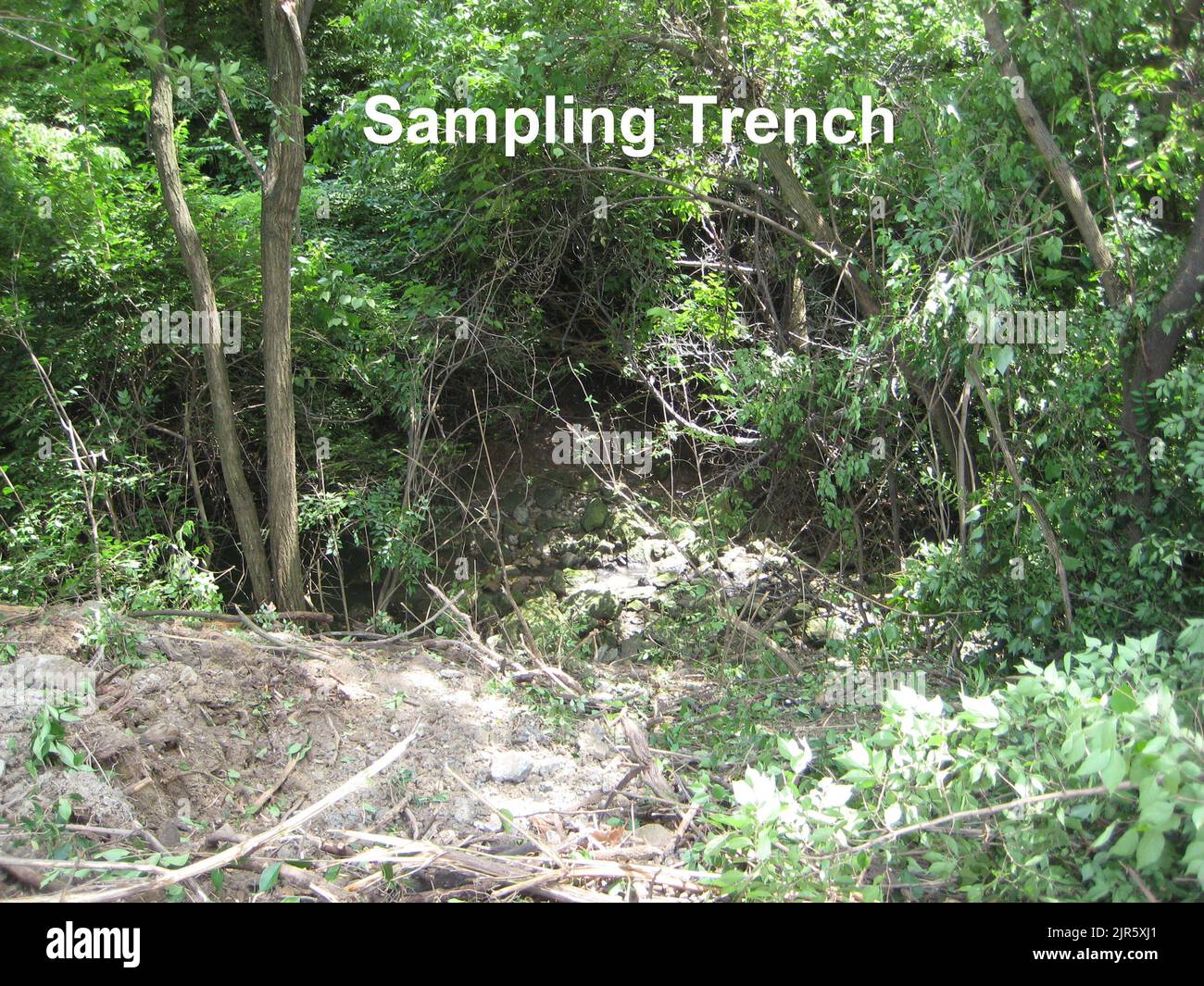 Survey Unit 10 - Sampling trench created via heavy duty equipment, too ...