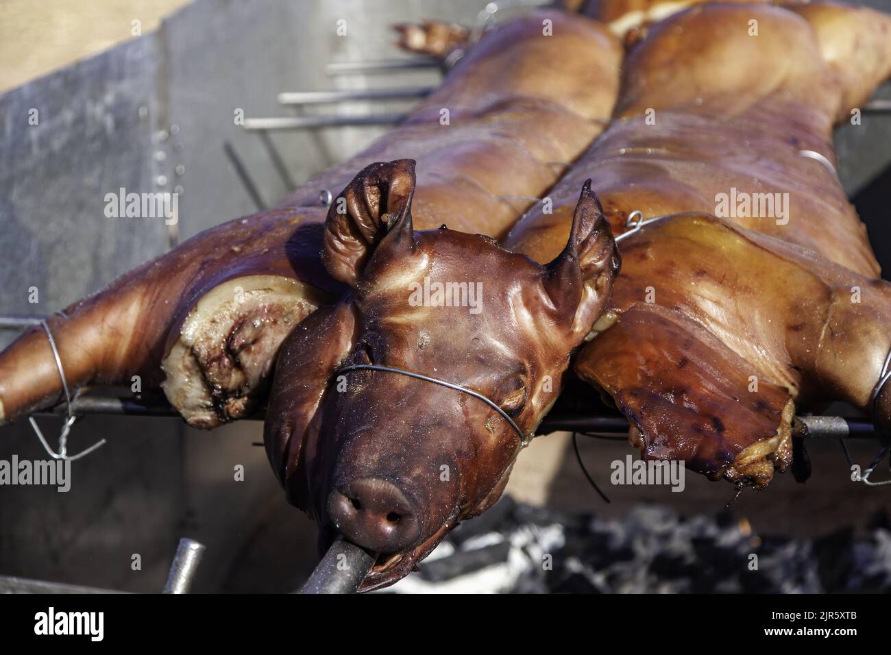 Detail of grilled greasy meat, party and celebration Stock Photo - Alamy