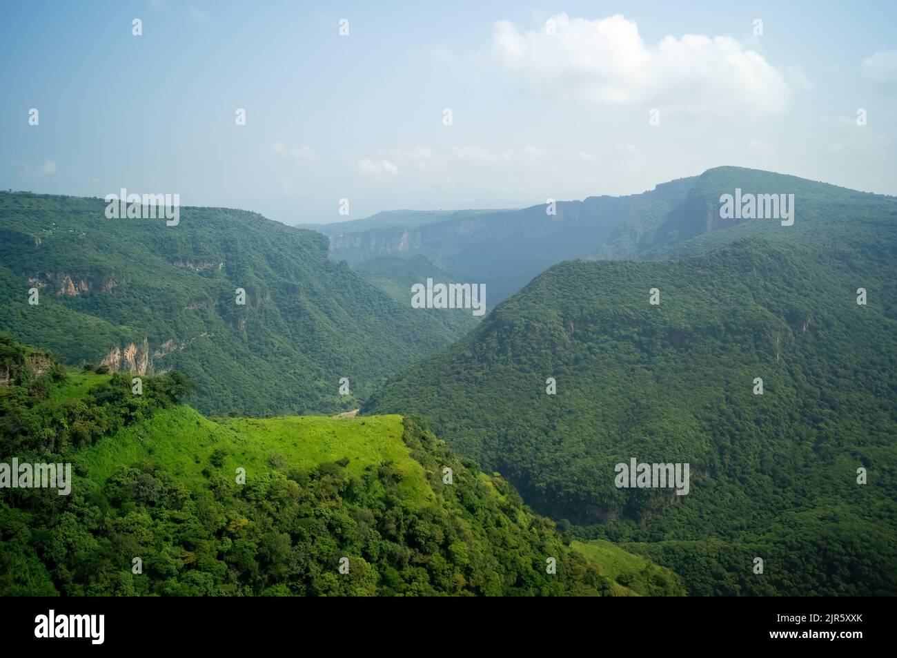ravine trees and vegetation, view of several mountains at different ...