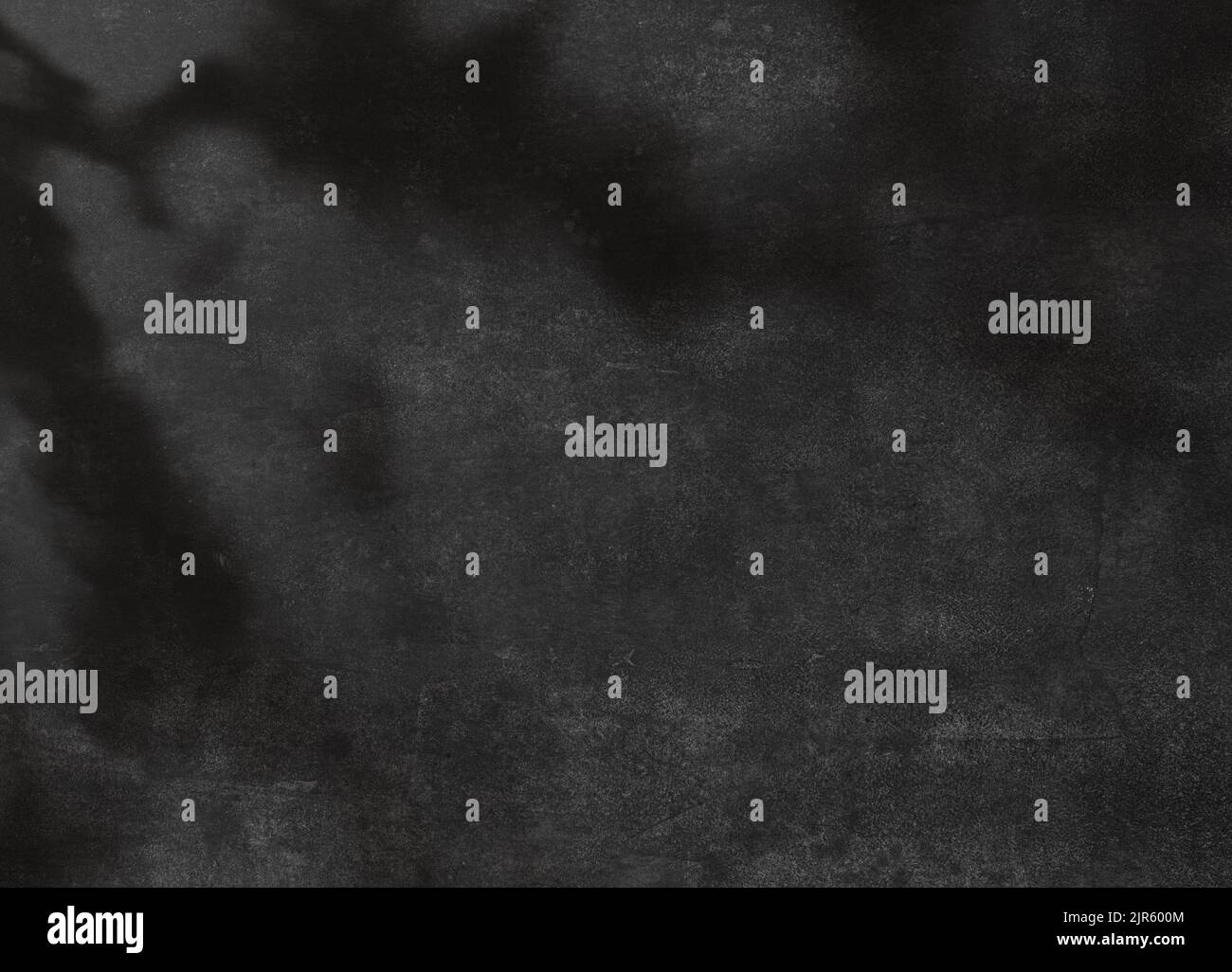 Dark concrete wall texture with leaves reflection. Tropical motif ...