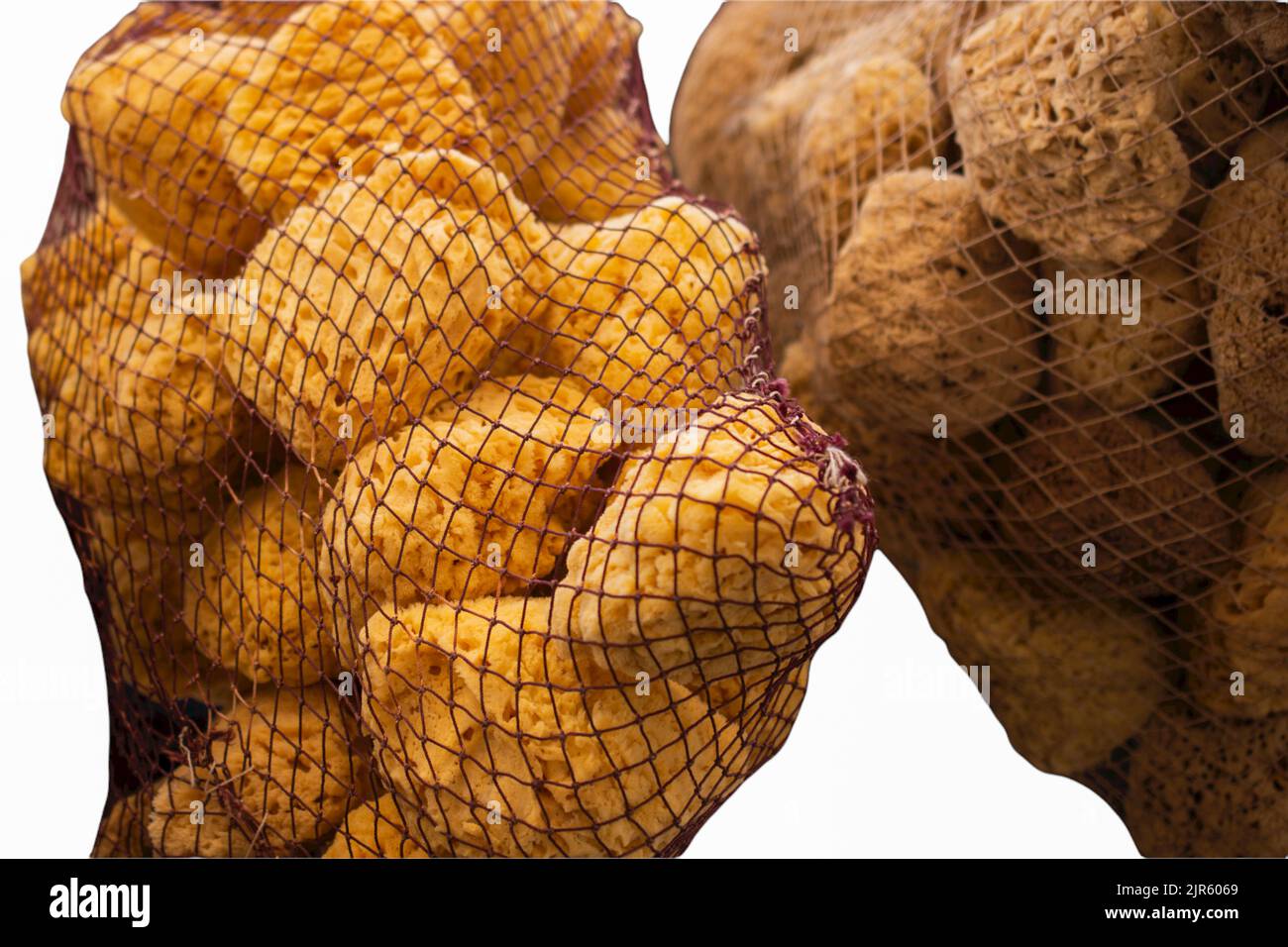 Collection of natural marine sea sponges for spa and Wellness on a ...