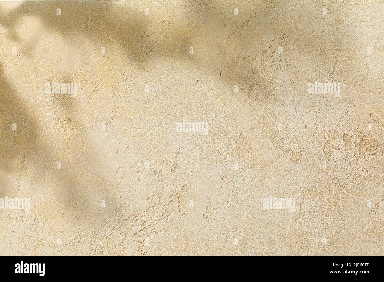 Tropical background with stone texture and leaves shade. Concrete wall ...